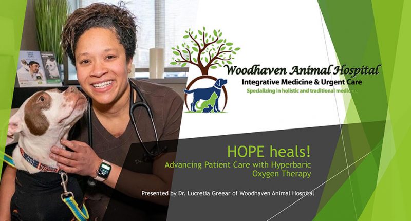 Hyperbaric Chamber - Vet in Woodhaven | Woodhaven Animal Hospital